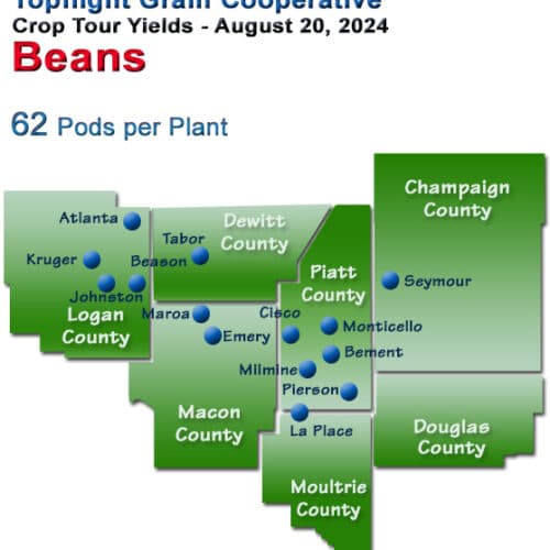 Crop Tour 2024 Soybeans – Topflight Grain Cooperative