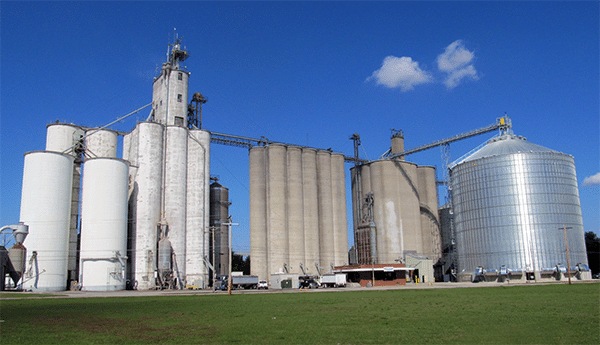 Topflight Grain Cooperative – Central Illinois Grain Elevators